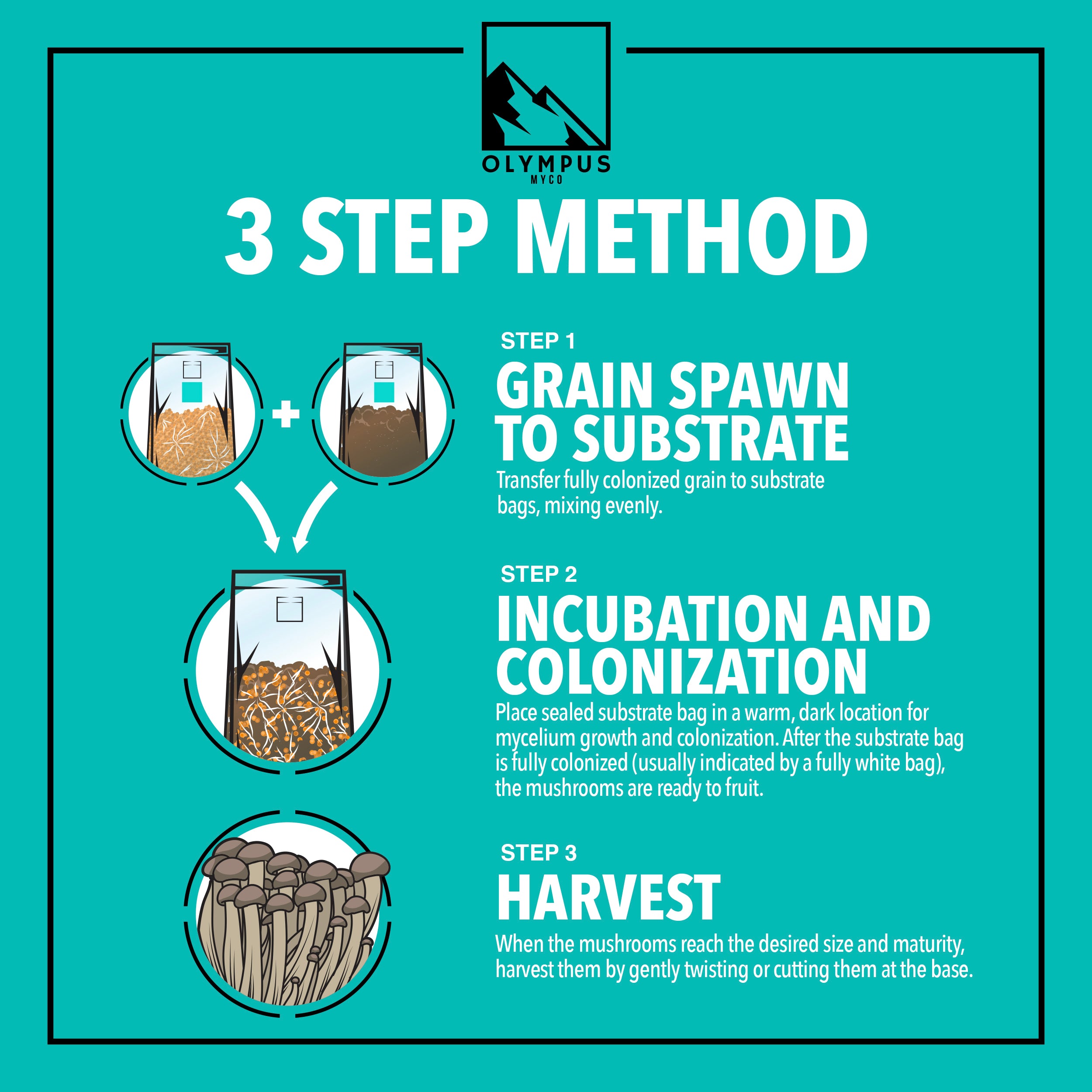 Olympus Myco | Premium Mushroom Cultivation Supplies