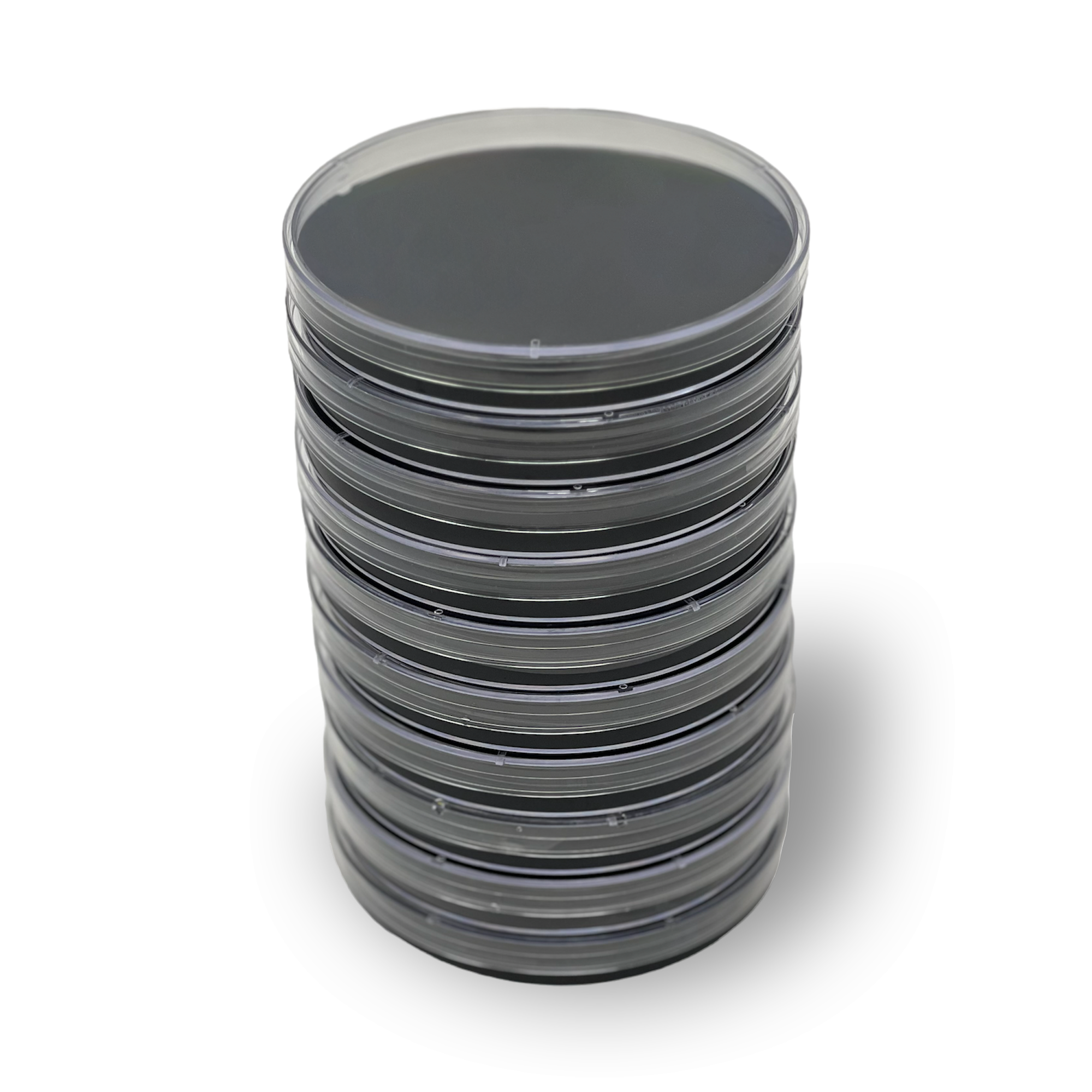 Malt Yeast Extract Agar Plates with Activated Charcoal | Olympus Myco