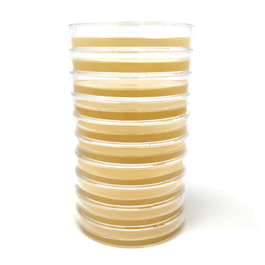Malt Yeast Extract Agar Plates | Olympus Myco