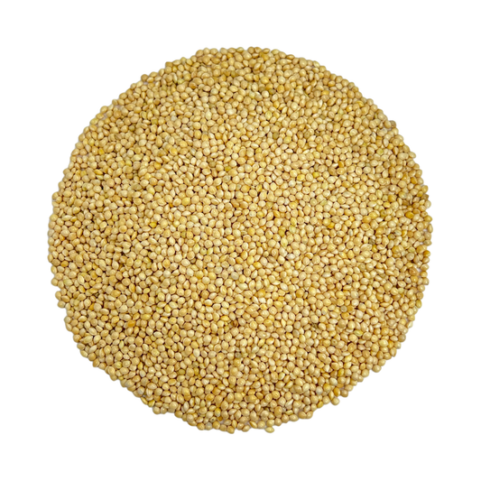 White Proso Millet